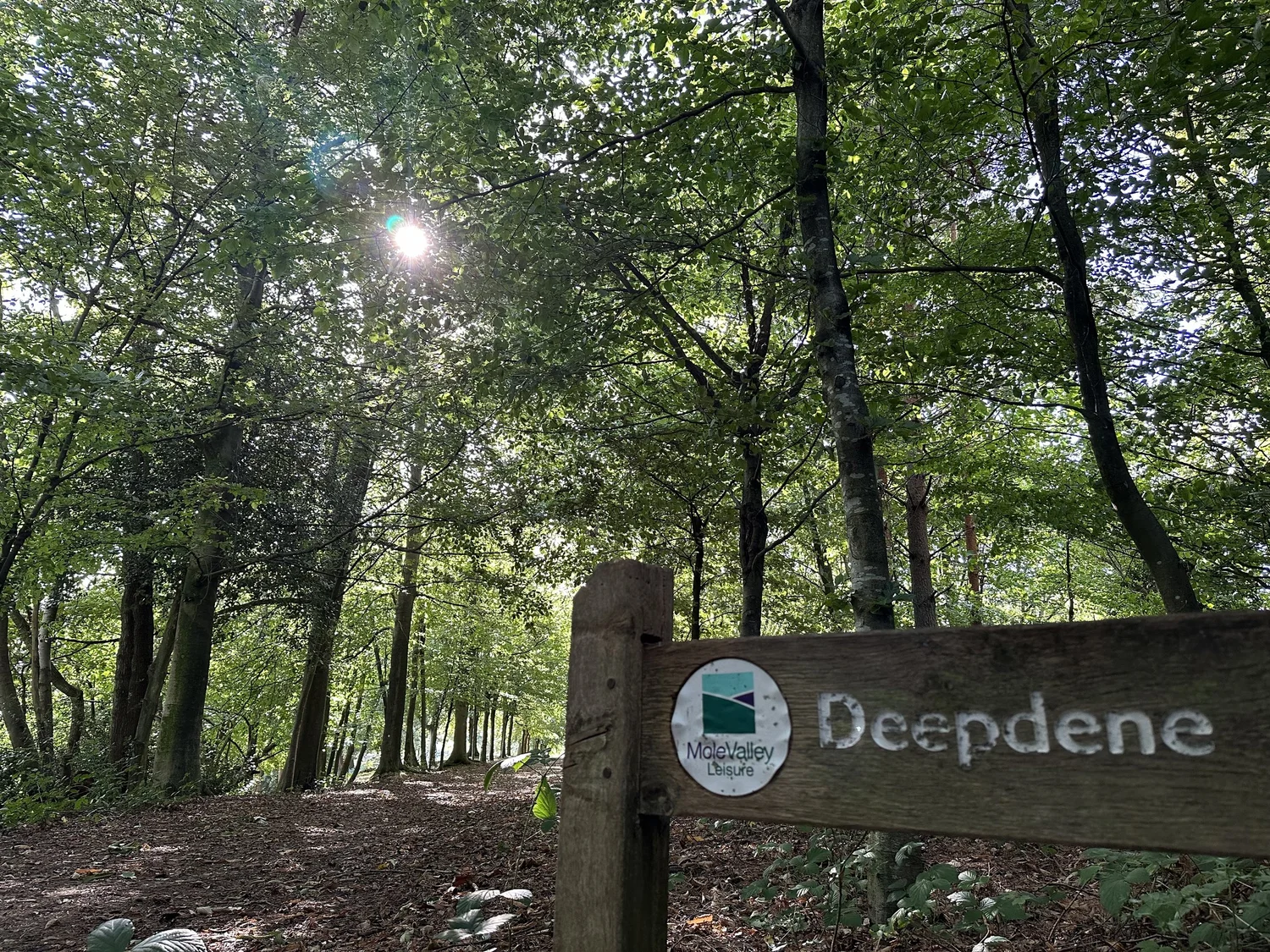 Deepdene Man | Help Uncover the Truth — Locate International