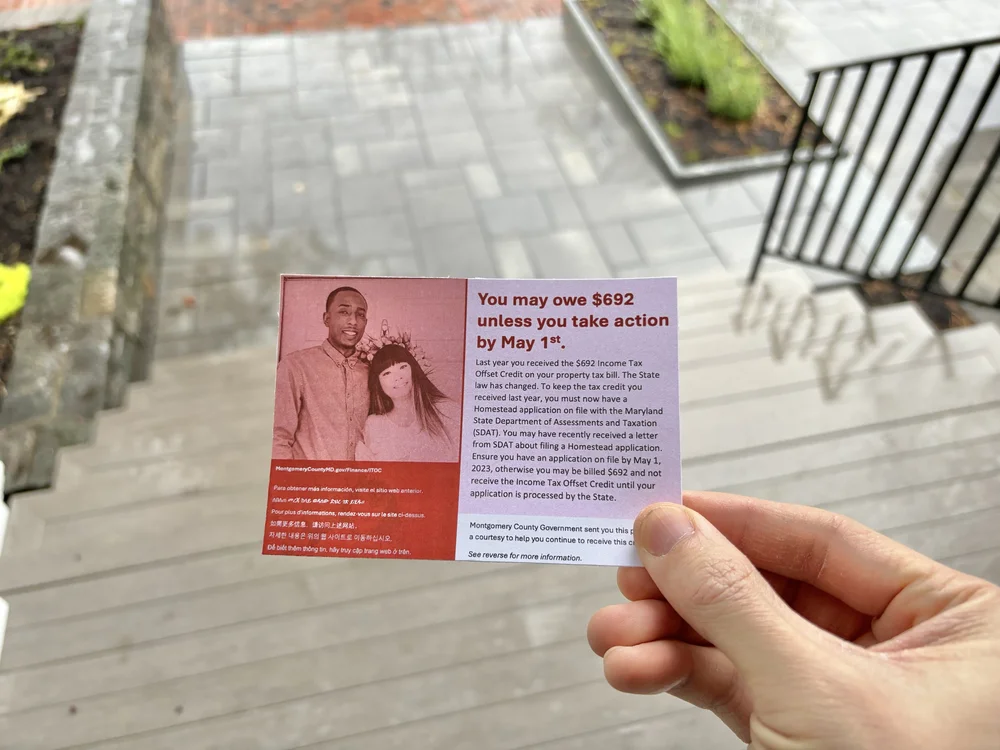 Visual Design Projects — Evan Chan