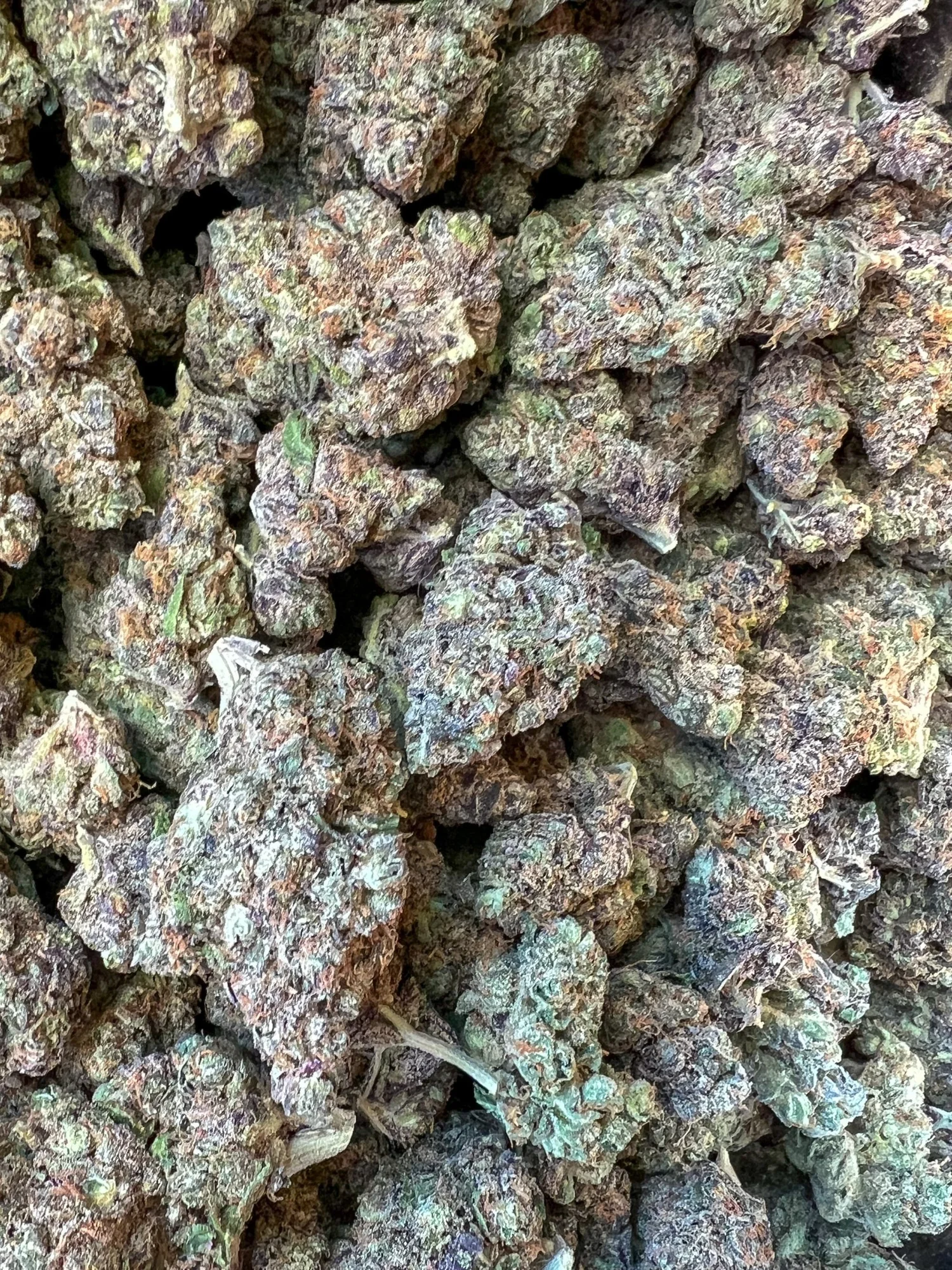 Cheddar Cheese Flower Info — Goose River Cannabis Company