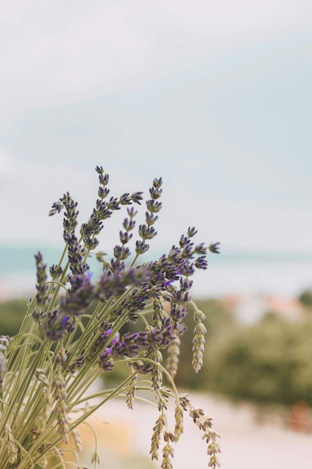 About Pure Serenity — Pure Serenity Acupuncture and Wellness