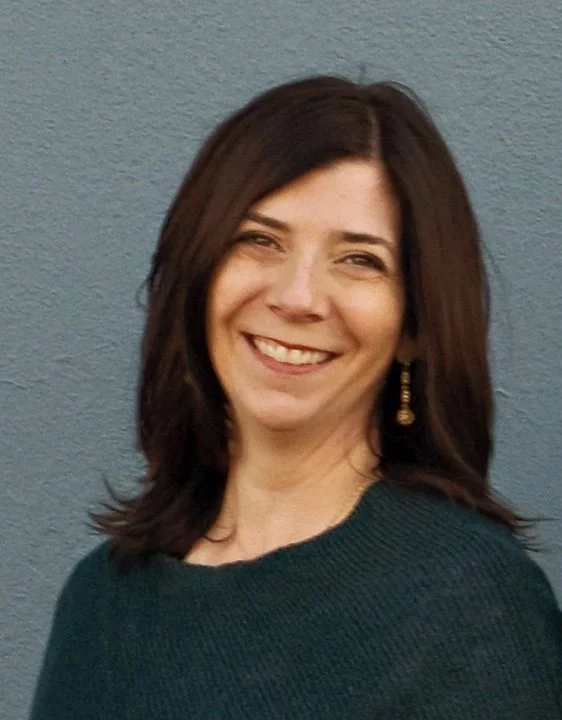 ABOUT — Vedo Systems