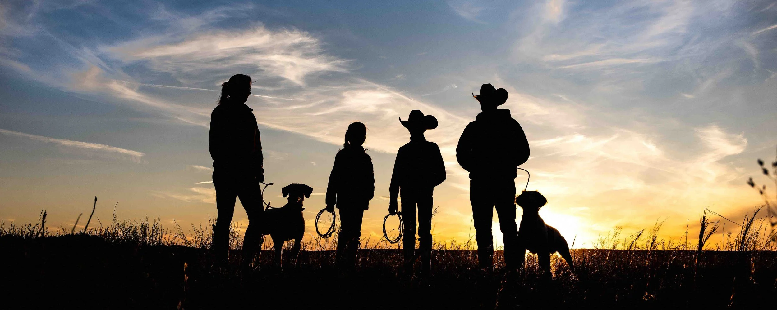 Smith Kennels: Training Bird Dogs and Teaching People