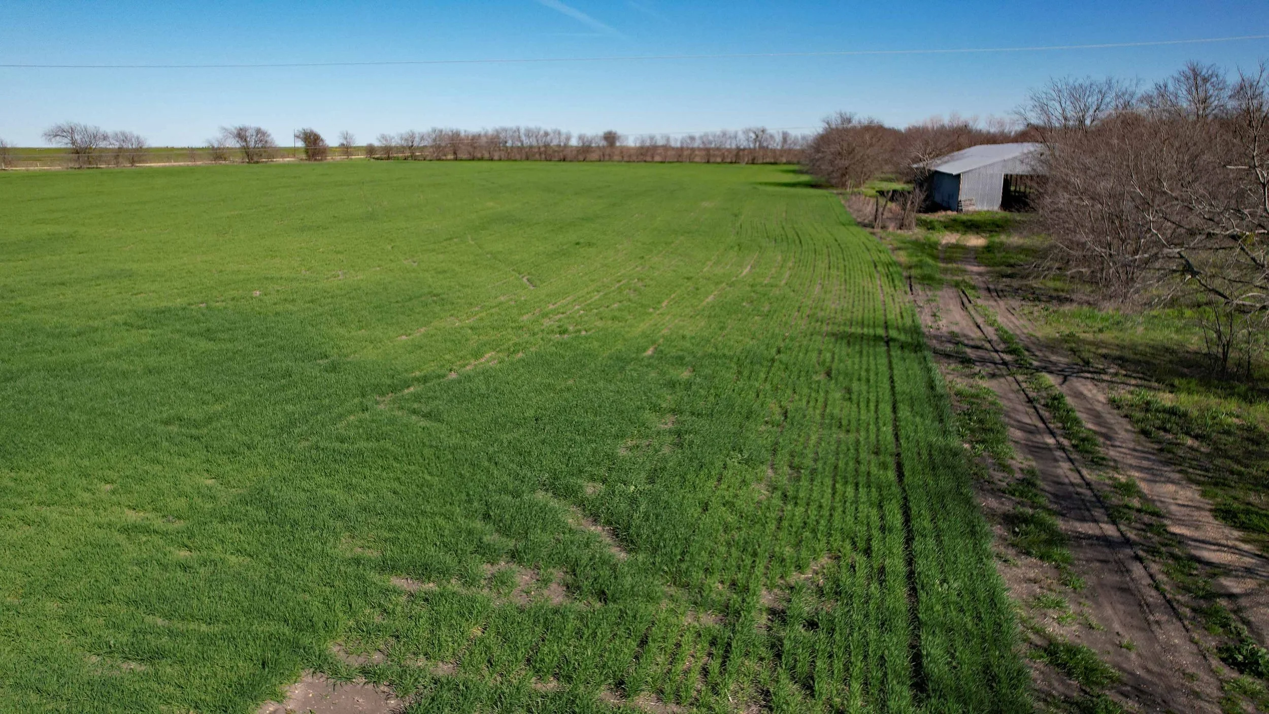 25 Acres, Ward's Place | Explore Your New Property — Jirasek Realty