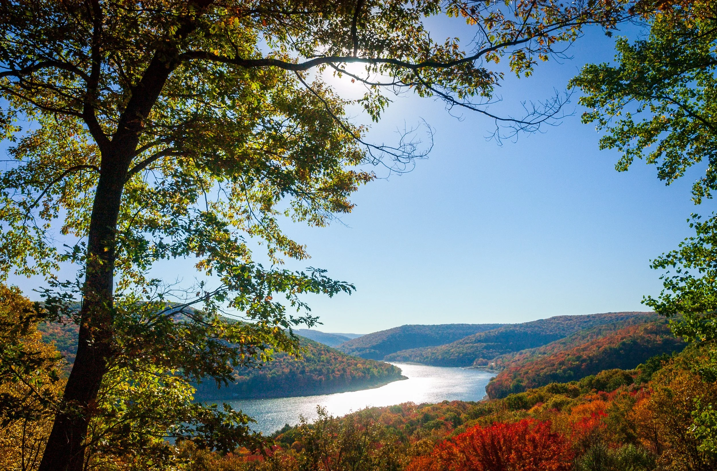 Armstrong Associates Federal Credit Union | AAFCU