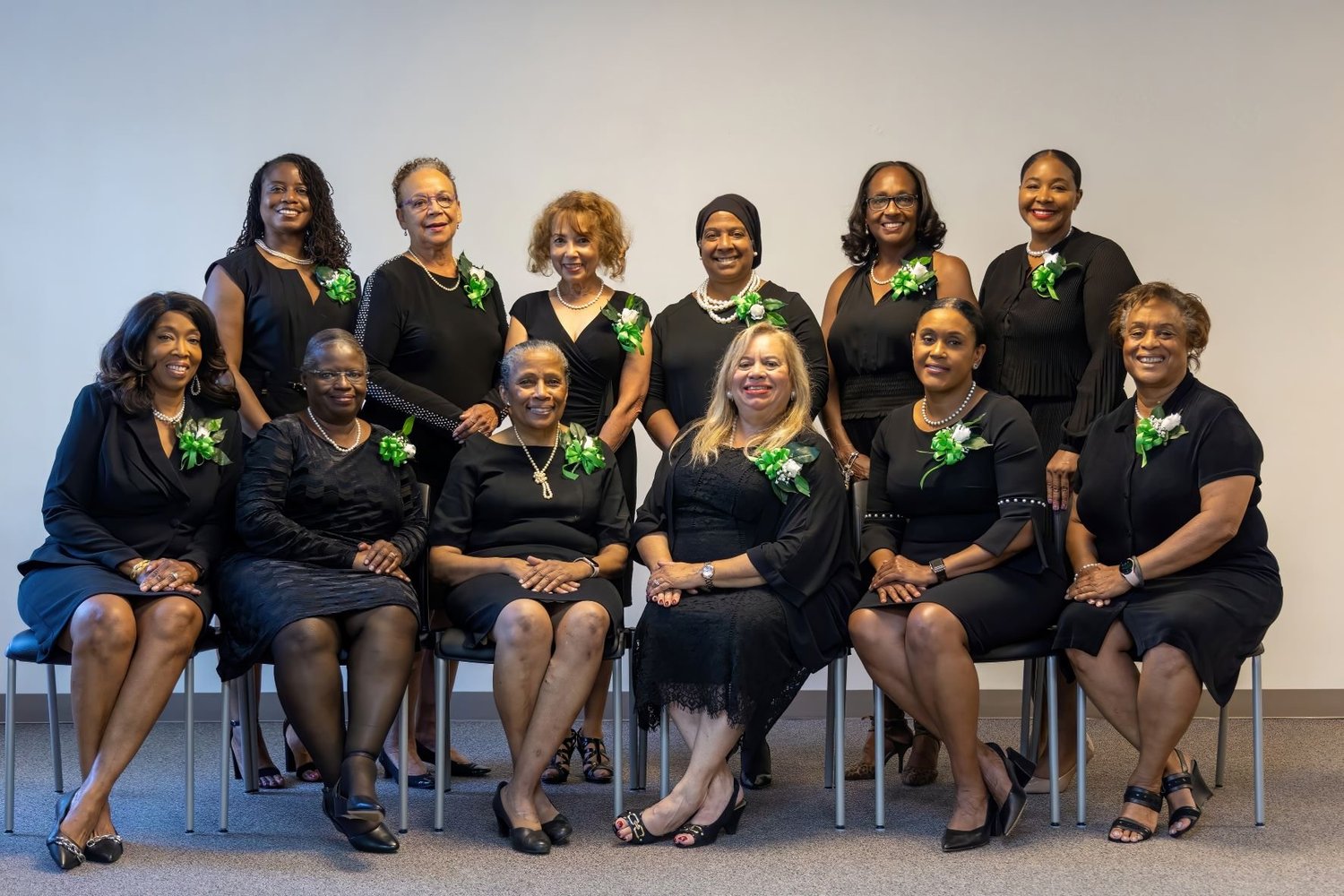 Welcome to the Charlottesville (VA) Chapter of the Links, Incorporated