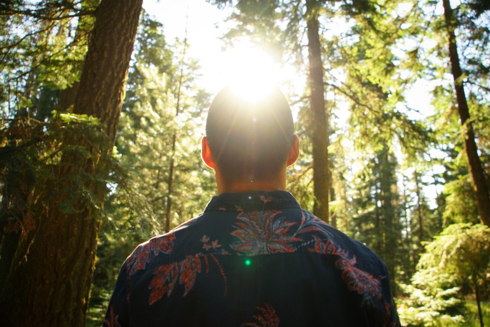 Expert-Led Psilocybin & Psychedelic Retreats in Oregon