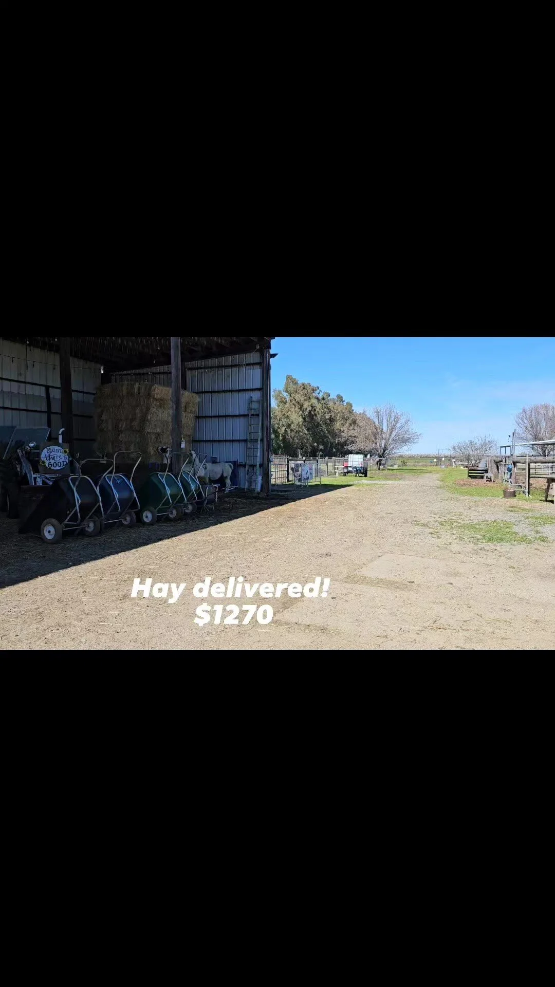 Visit — Lucky Ones Ranch