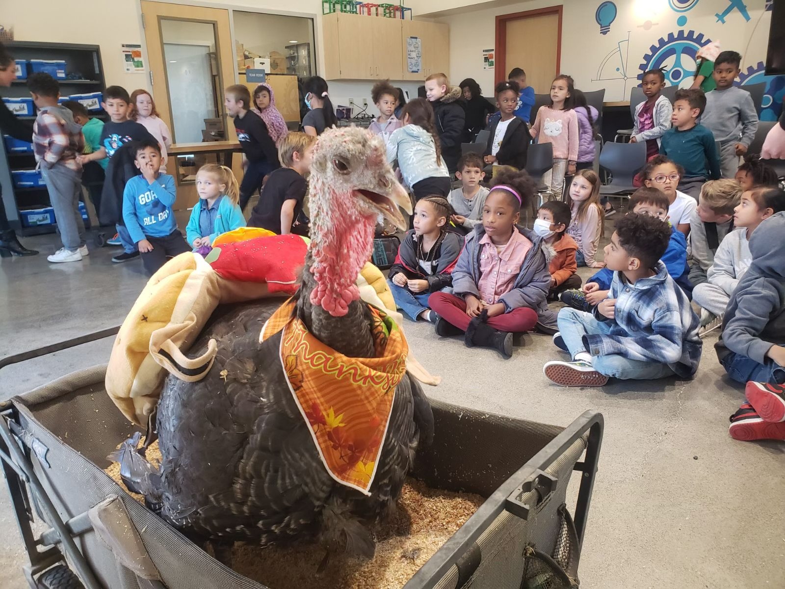 About — Lucky Ones Ranch