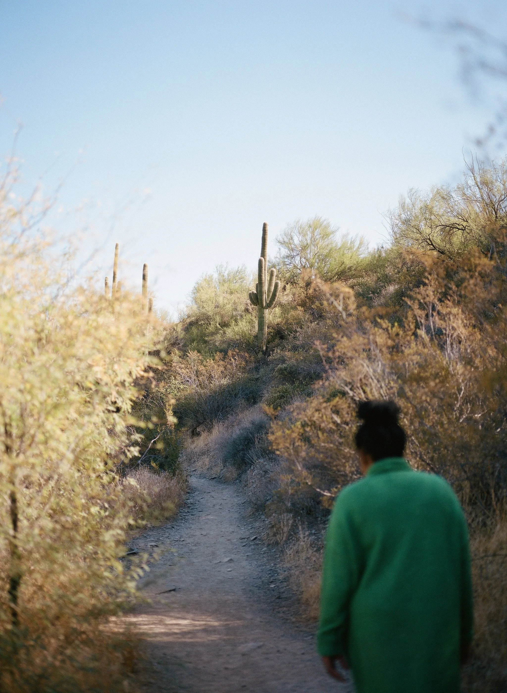 the space between us™ | with Krystle Cobran