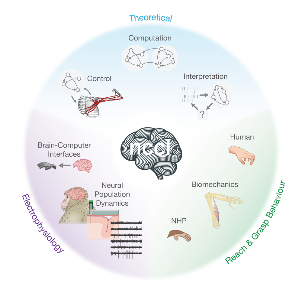 neural control & computation lab