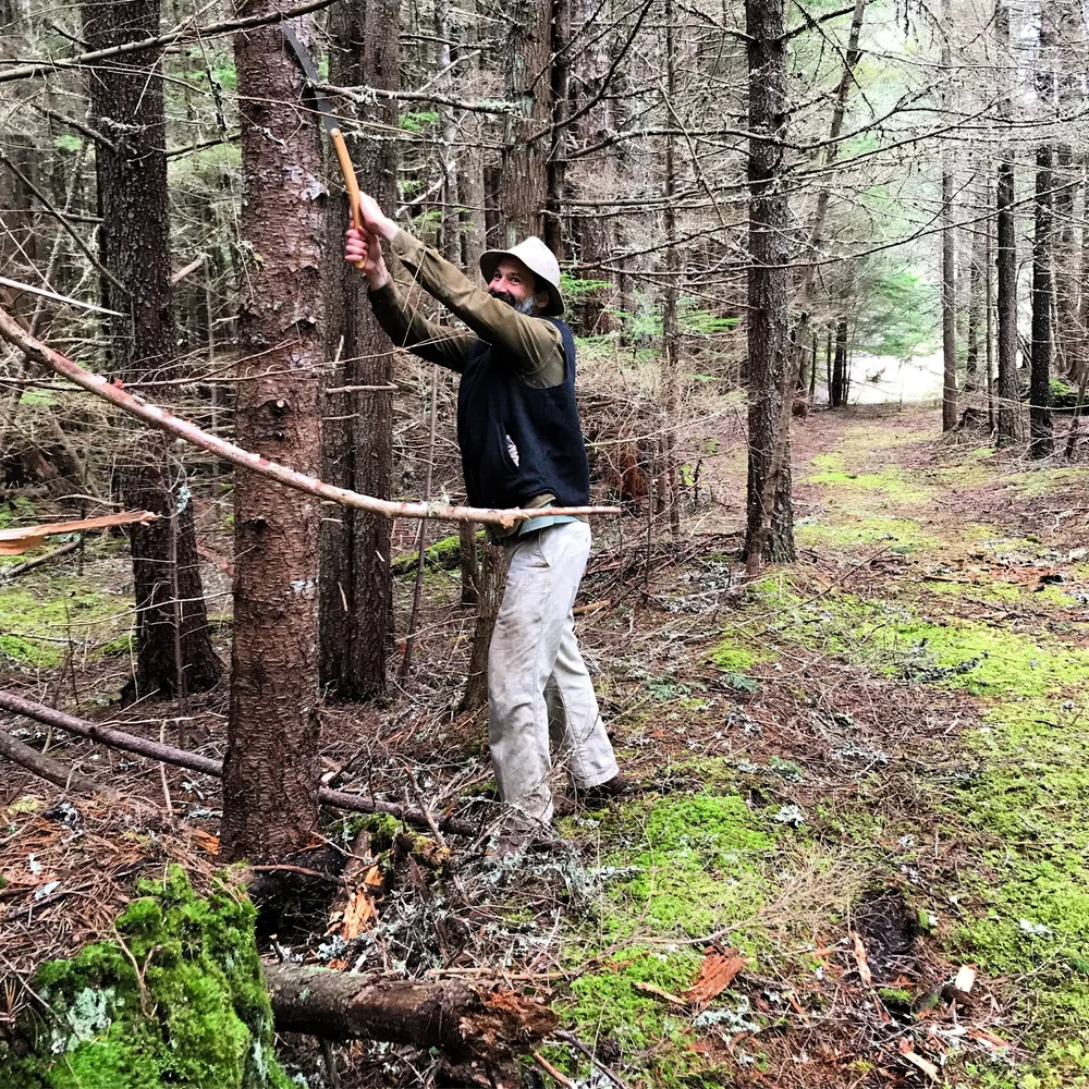 Mt. Constitution Forest Research — atelierjones