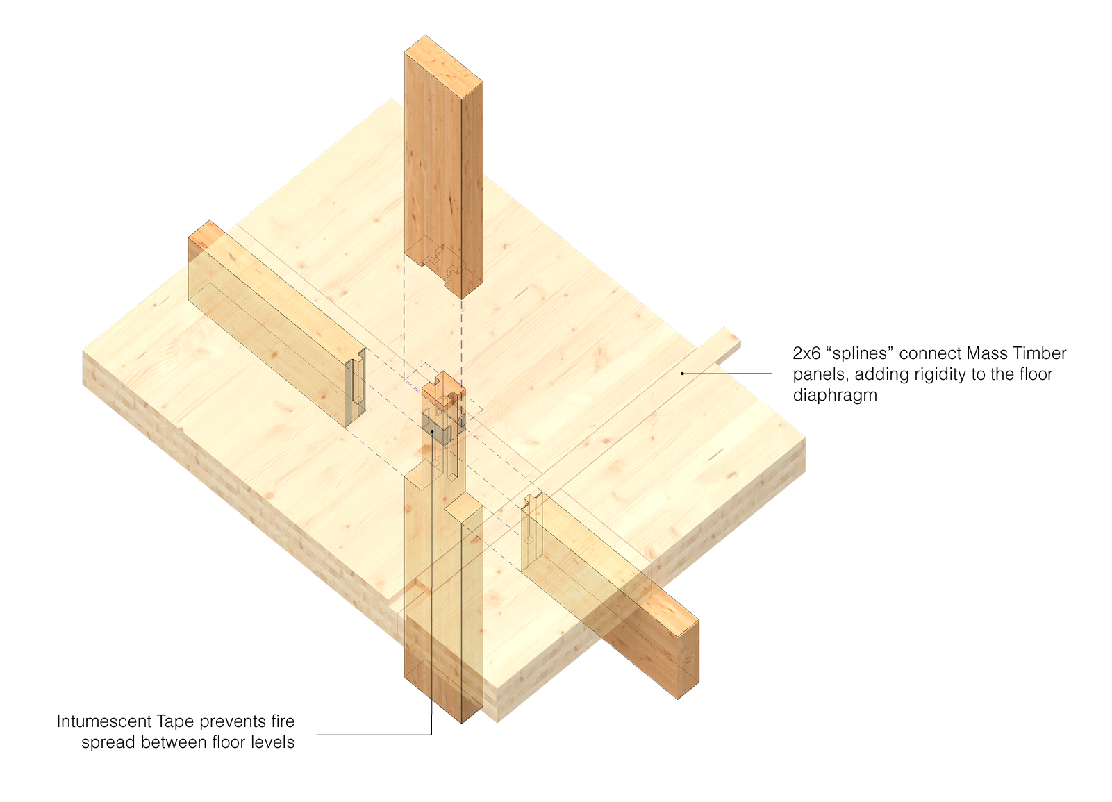 Heartwood | Pioneering Tall Timber — atelierjones