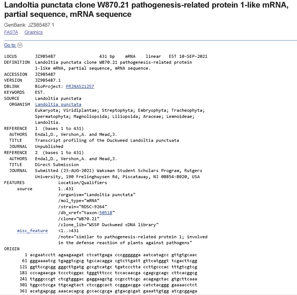 About 1 — Divit Endal