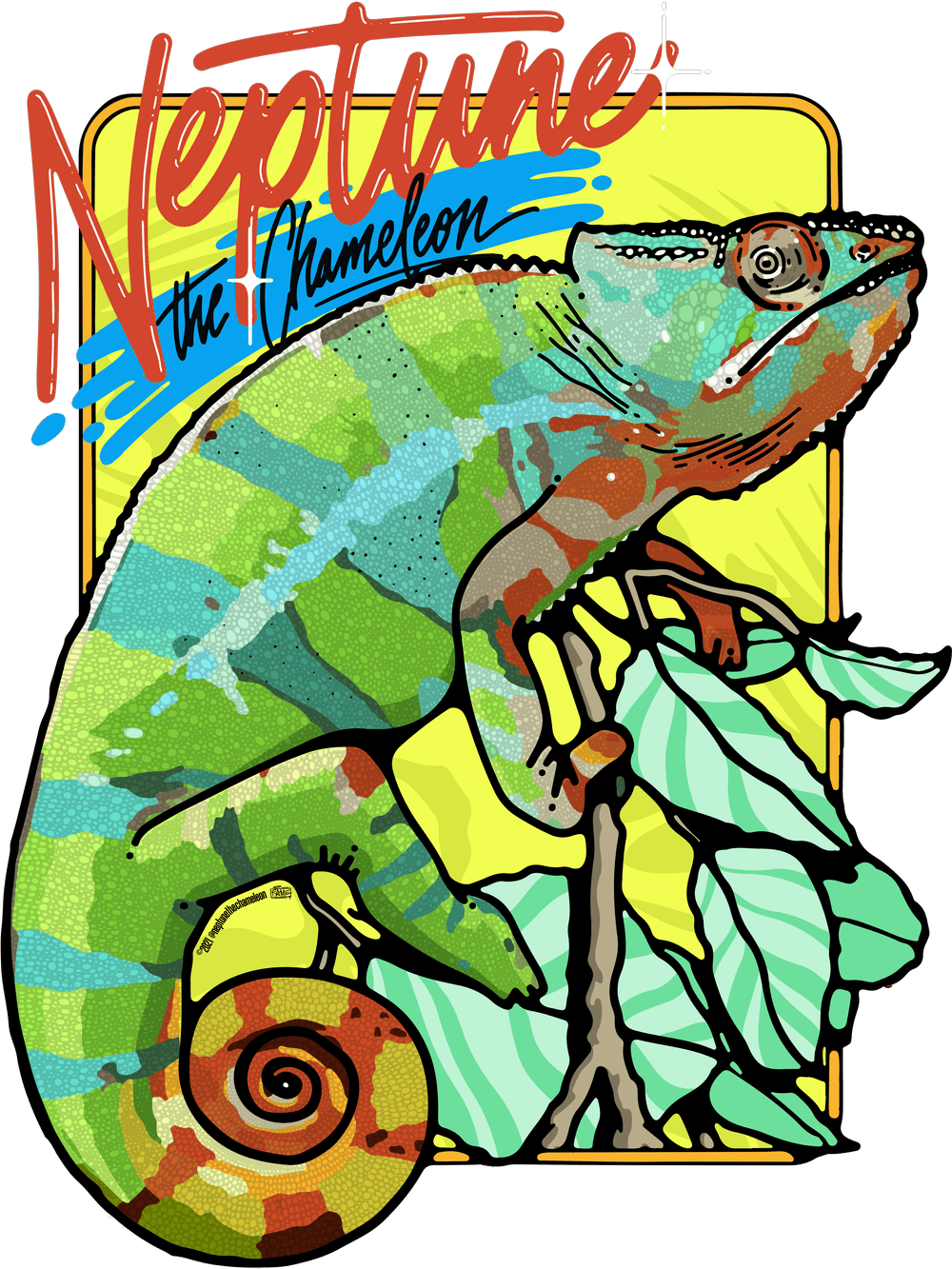 The ultimate chameleon kit! — Neptune the Chameleon