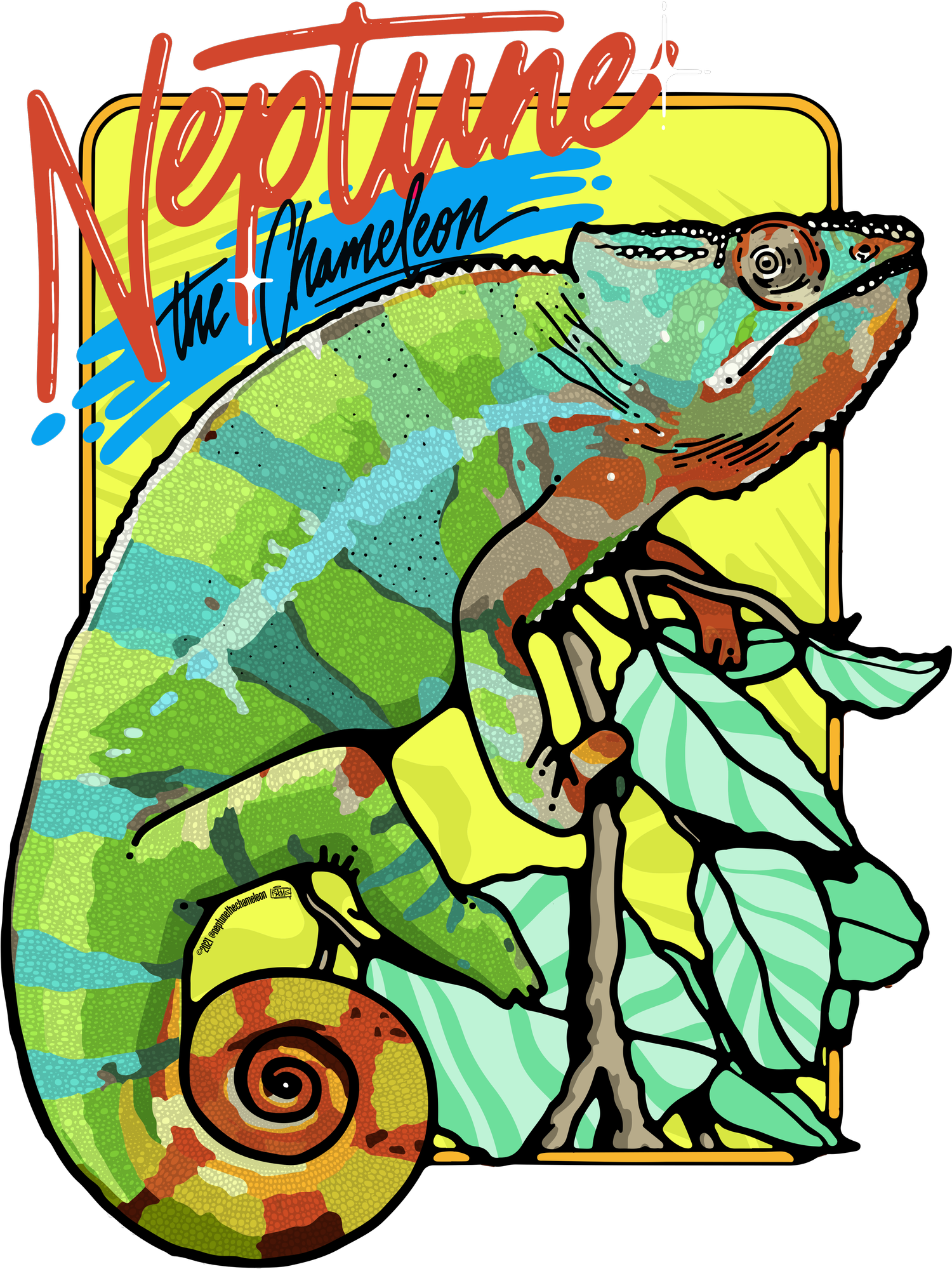The ultimate chameleon kit! — Neptune the Chameleon