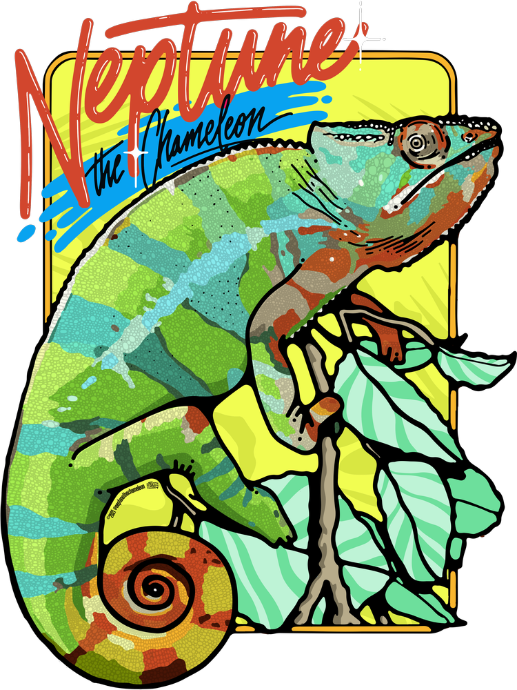 The ultimate chameleon kit! — Neptune the Chameleon