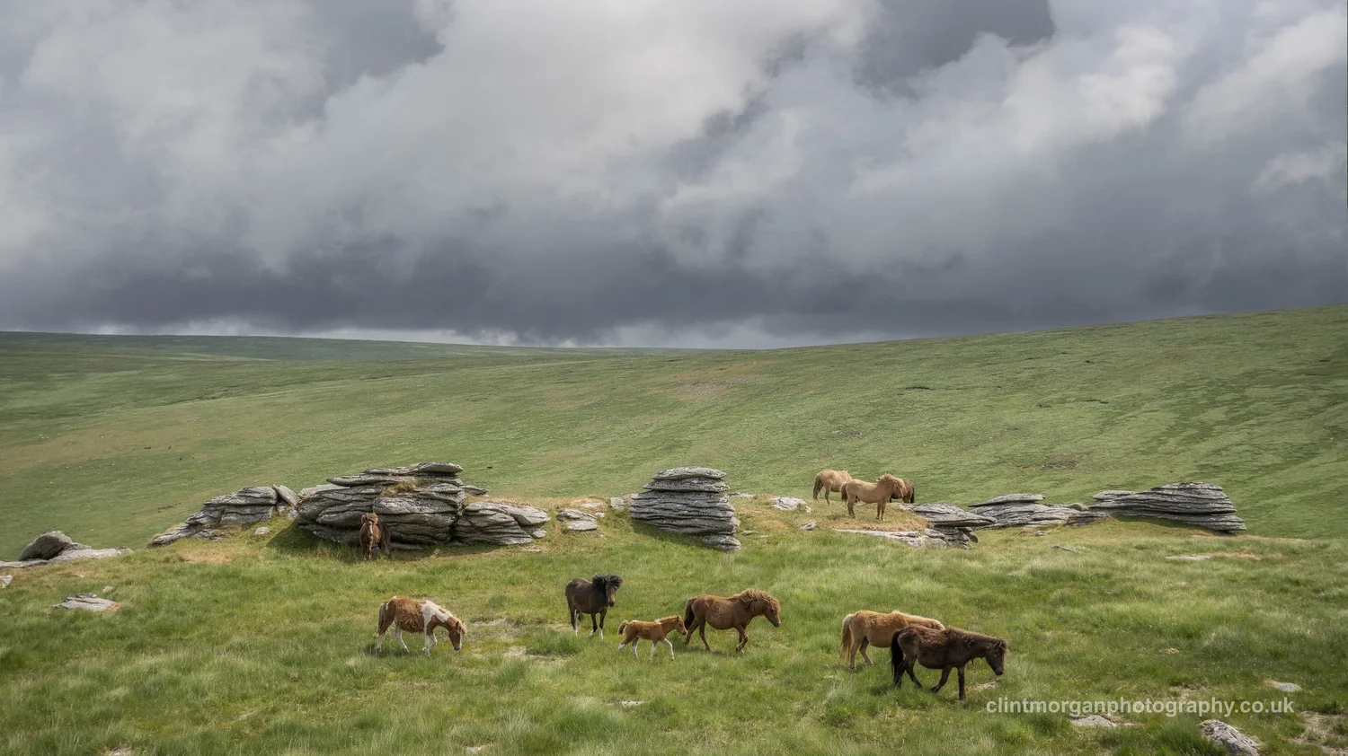 Clint Morgan Photography