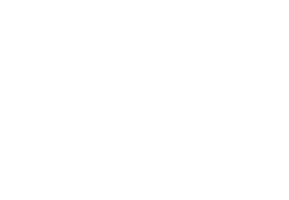 Miller School of Albemarle | Private Boarding & Day School in Virginia