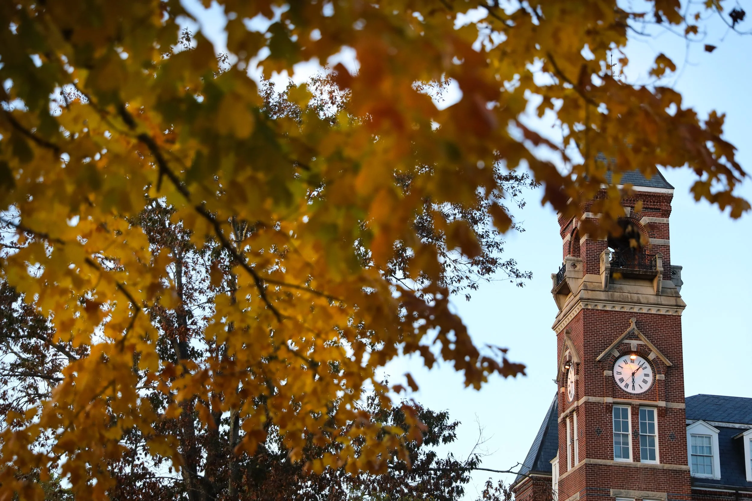 Miller School of Albemarle | Private Boarding & Day School in Virginia