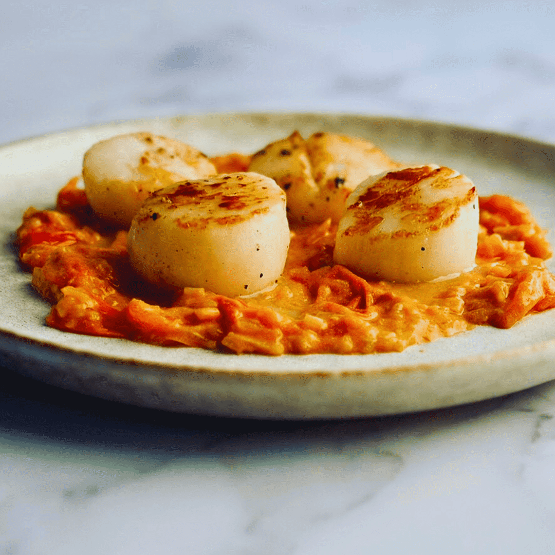 Seared Scallops in Creamy Tomato Sauce Recipe | Serves Two — duo delish