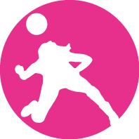 Impact Volleyball