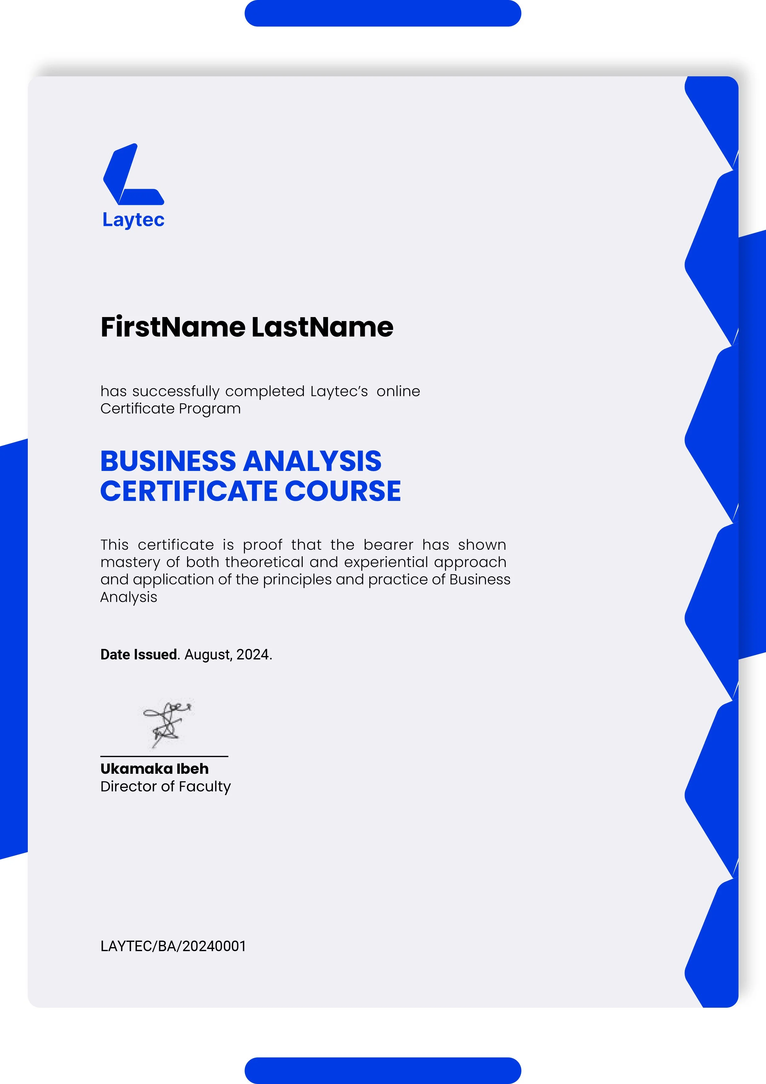 Business Analysis — Laytec