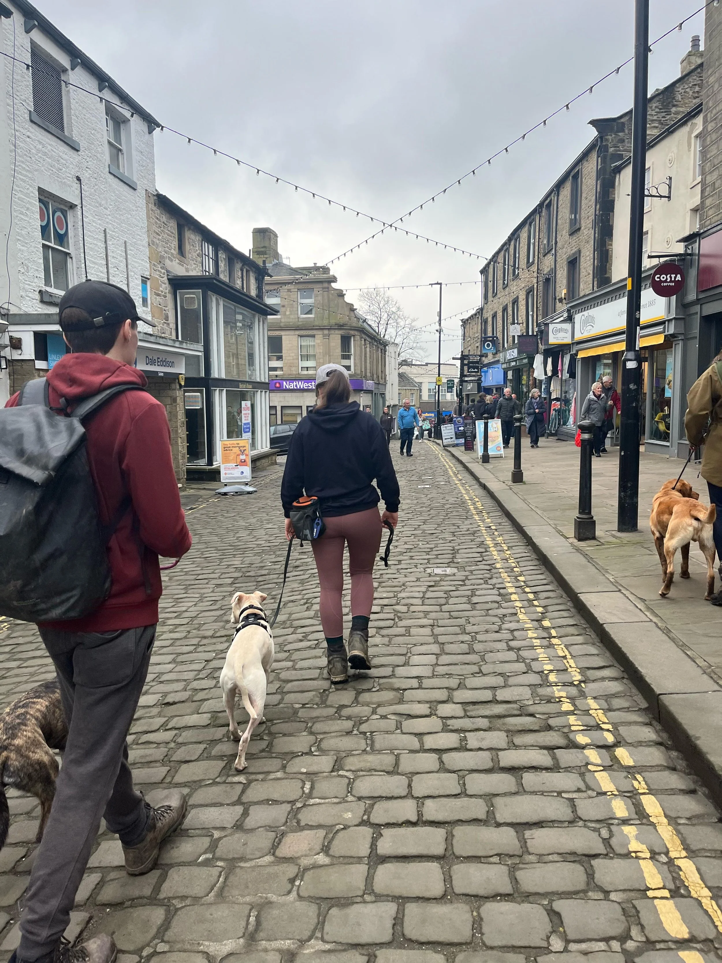 Honest Hounds — Neutral and Social Dog Walks UK | Safe, Structured ...