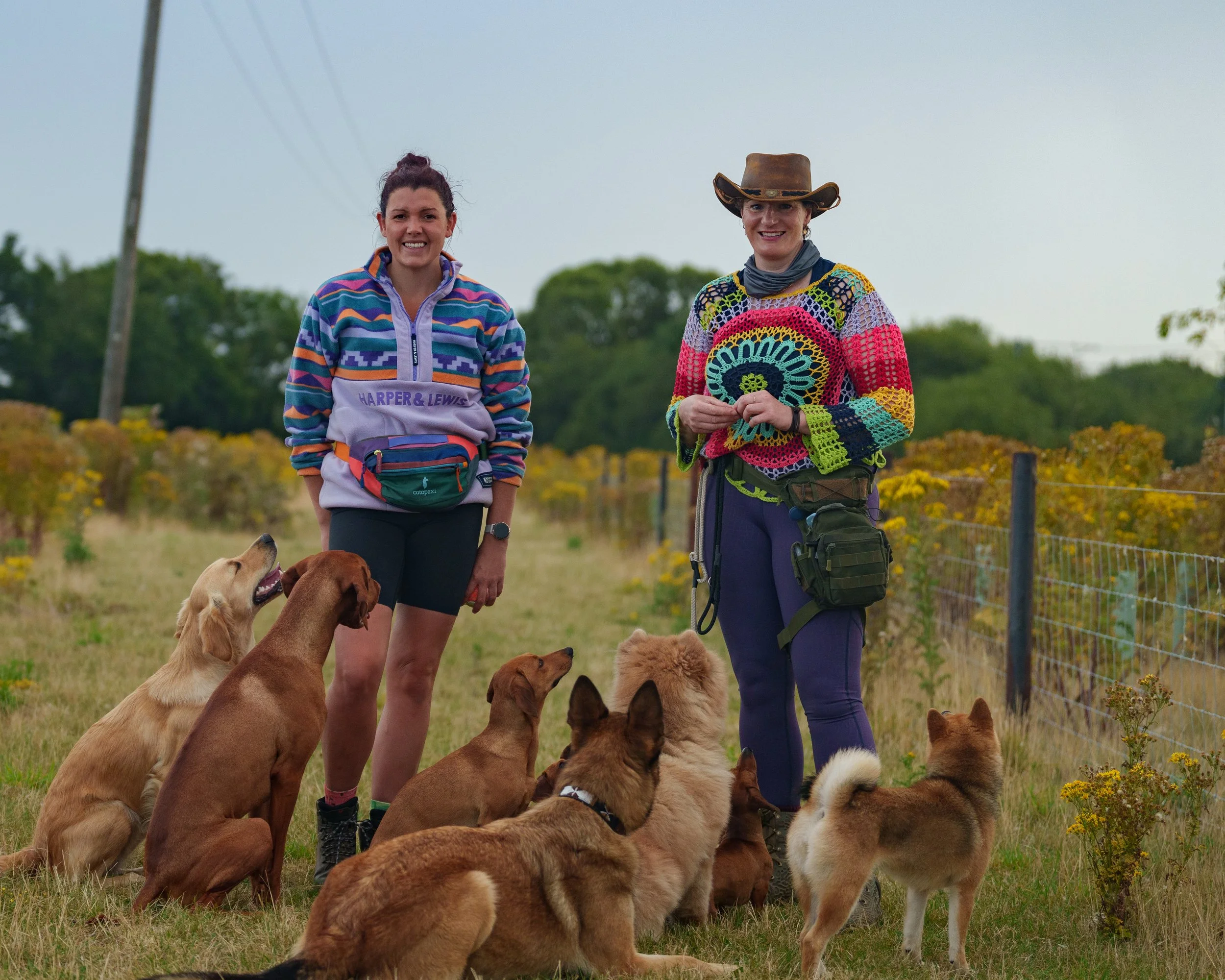 Honest Hounds — Meet the Honest Hounds Team and Affiliate Dog Trainers