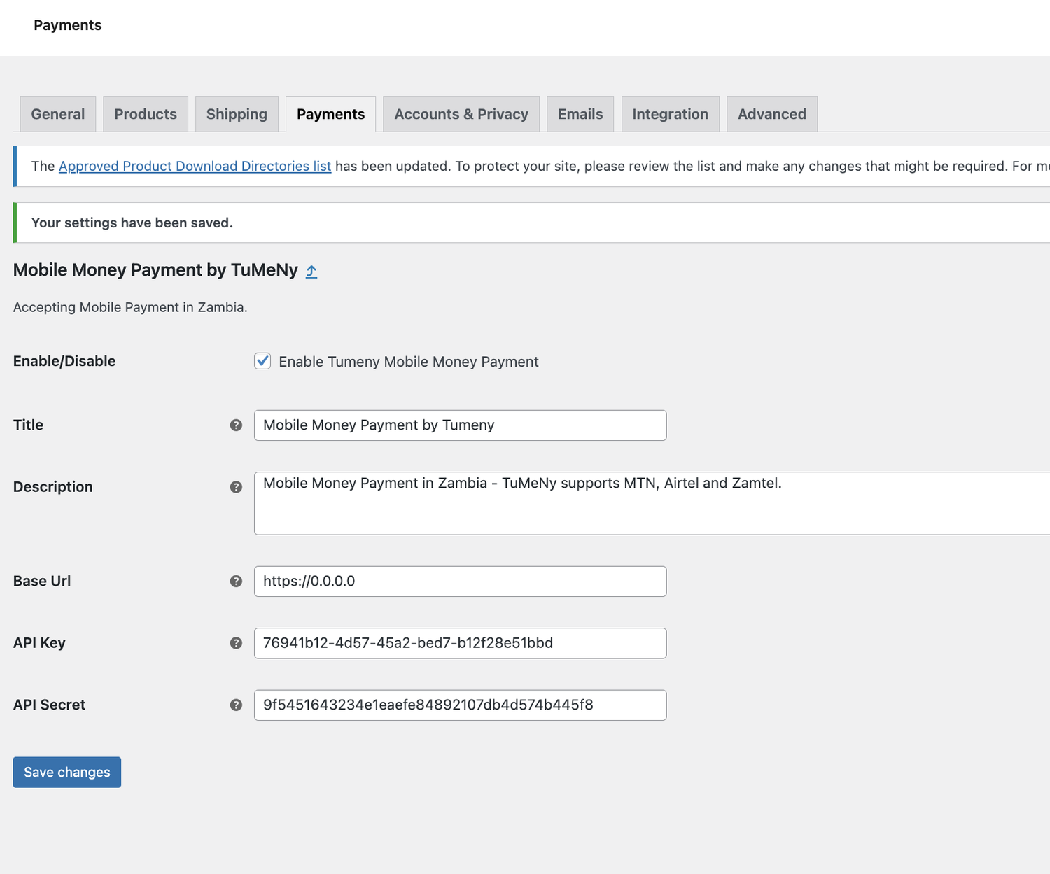 DEVELOPERS — TumenyPay
