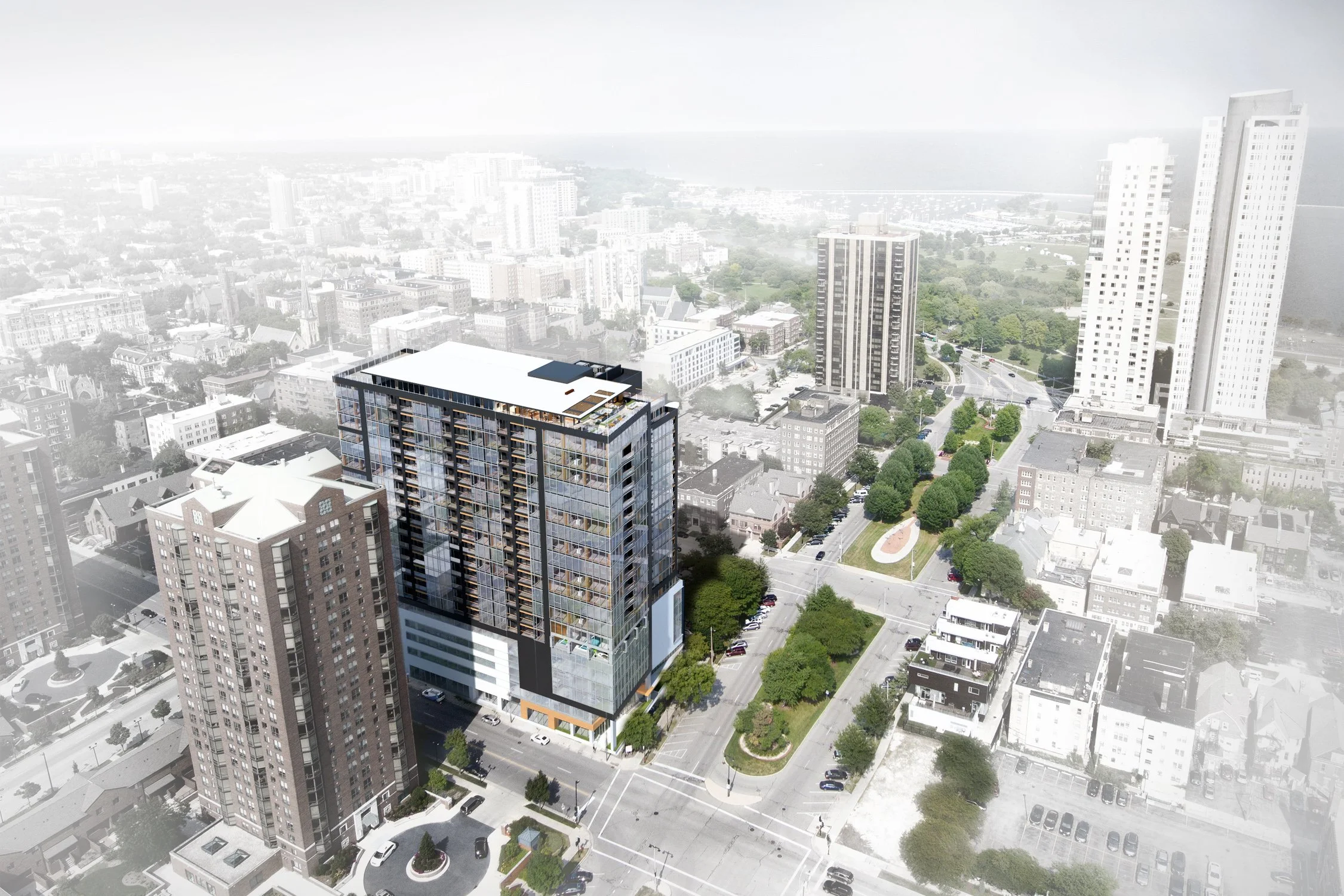 Ascent MKE — Exotic Species Studio