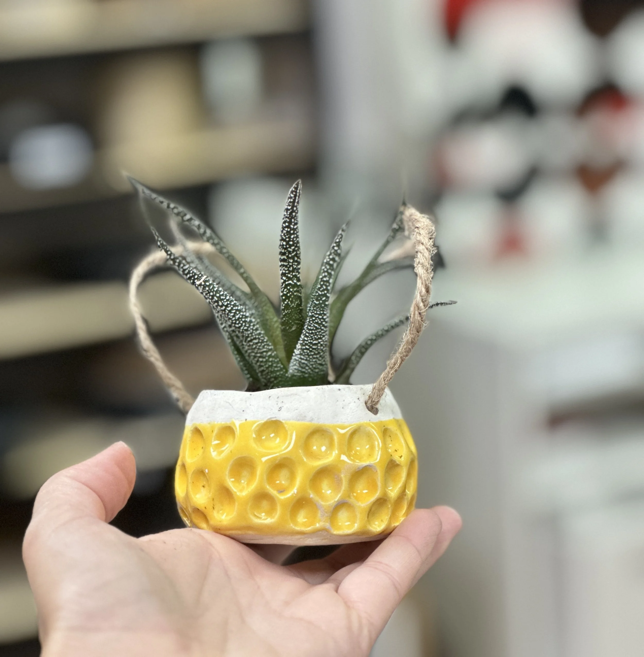 Capybara clay & art studio