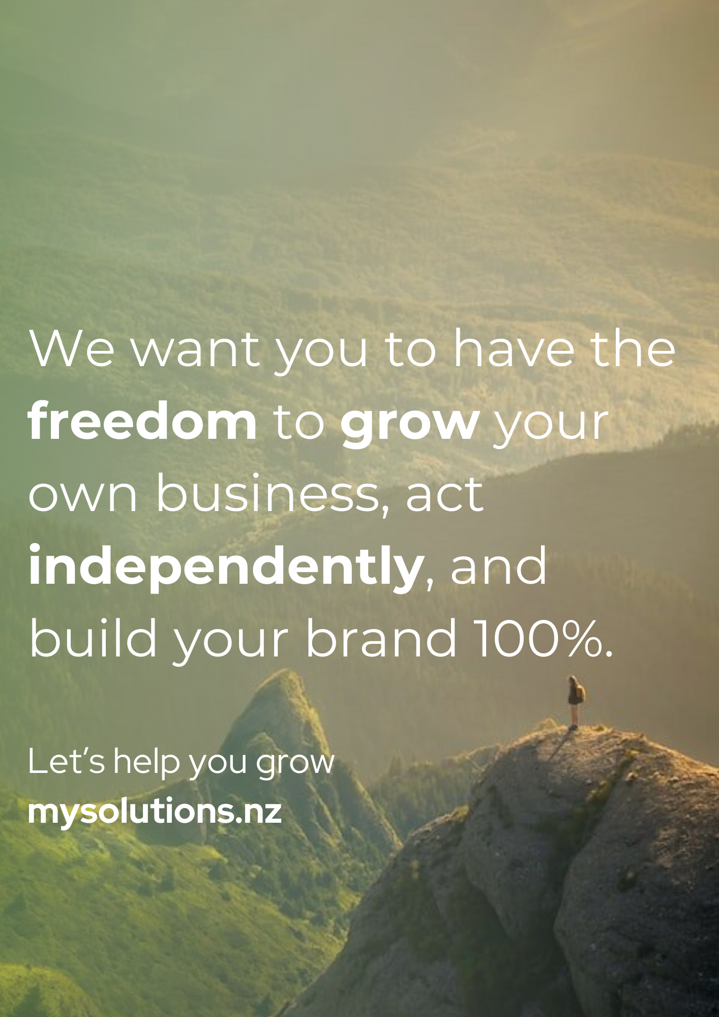 CRM Options — mySolutions