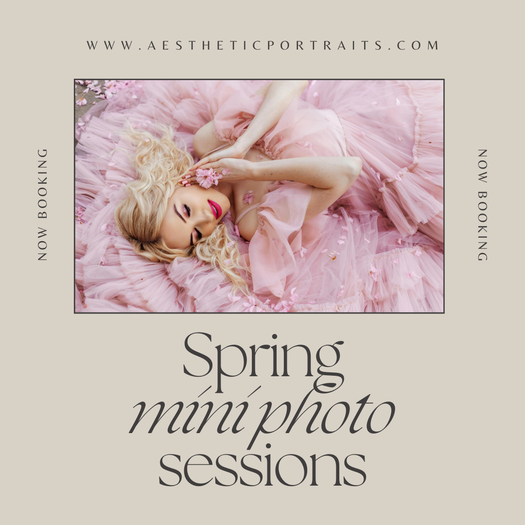 Alabama Professional Photography & Creative hub