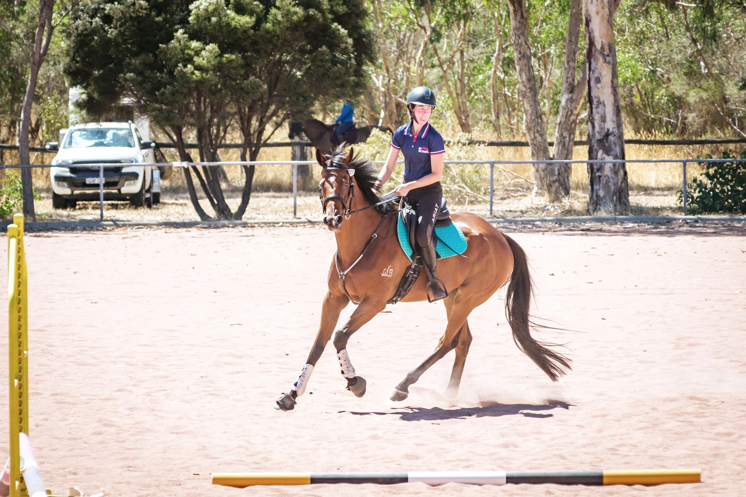 General 4 — Louise Shaw Equestrian