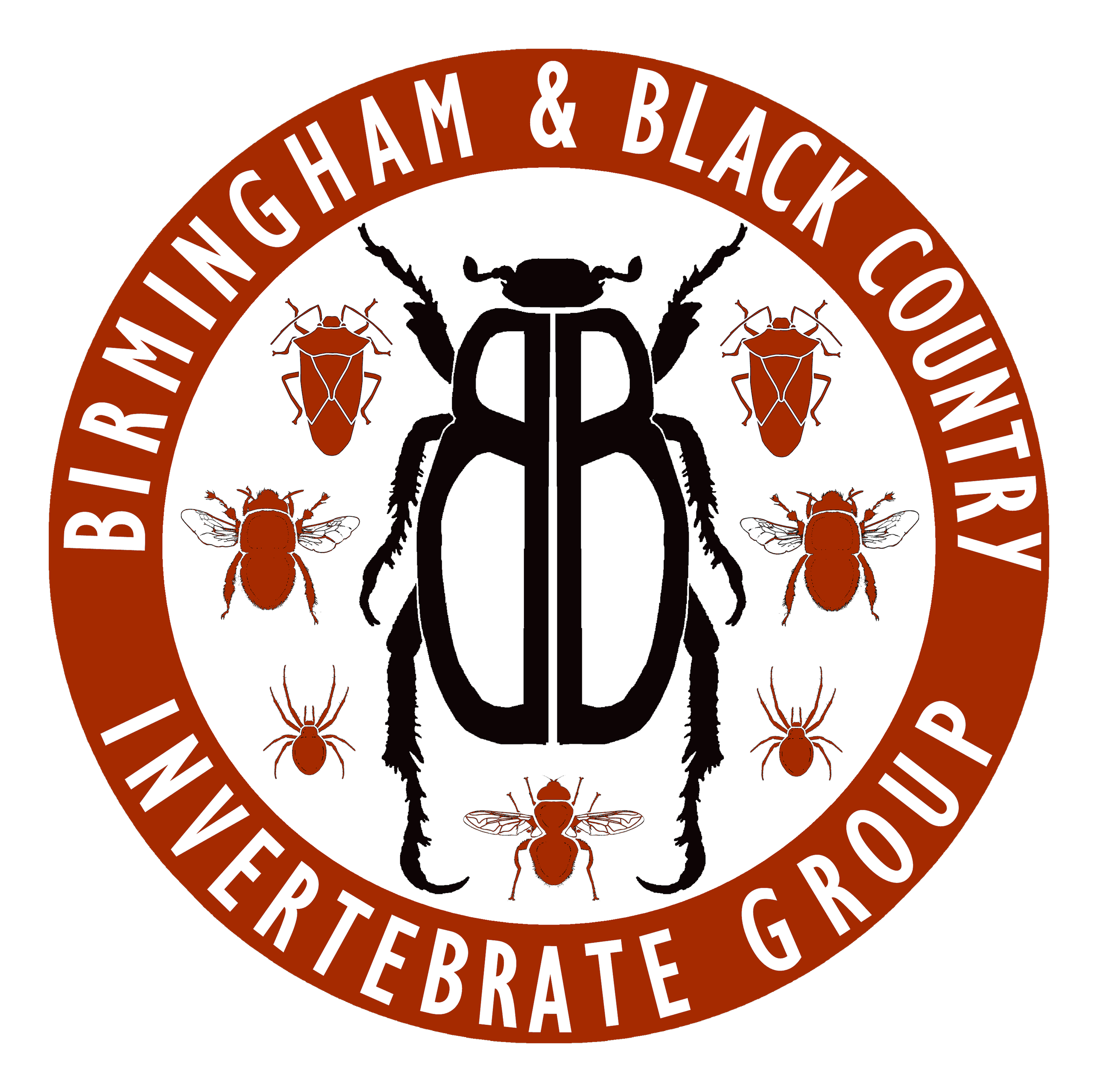 B&BC Invertebrate Group — EcoRecord