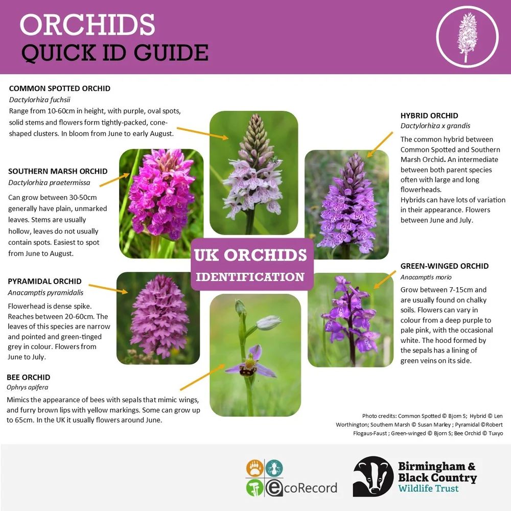 Resources — EcoRecord