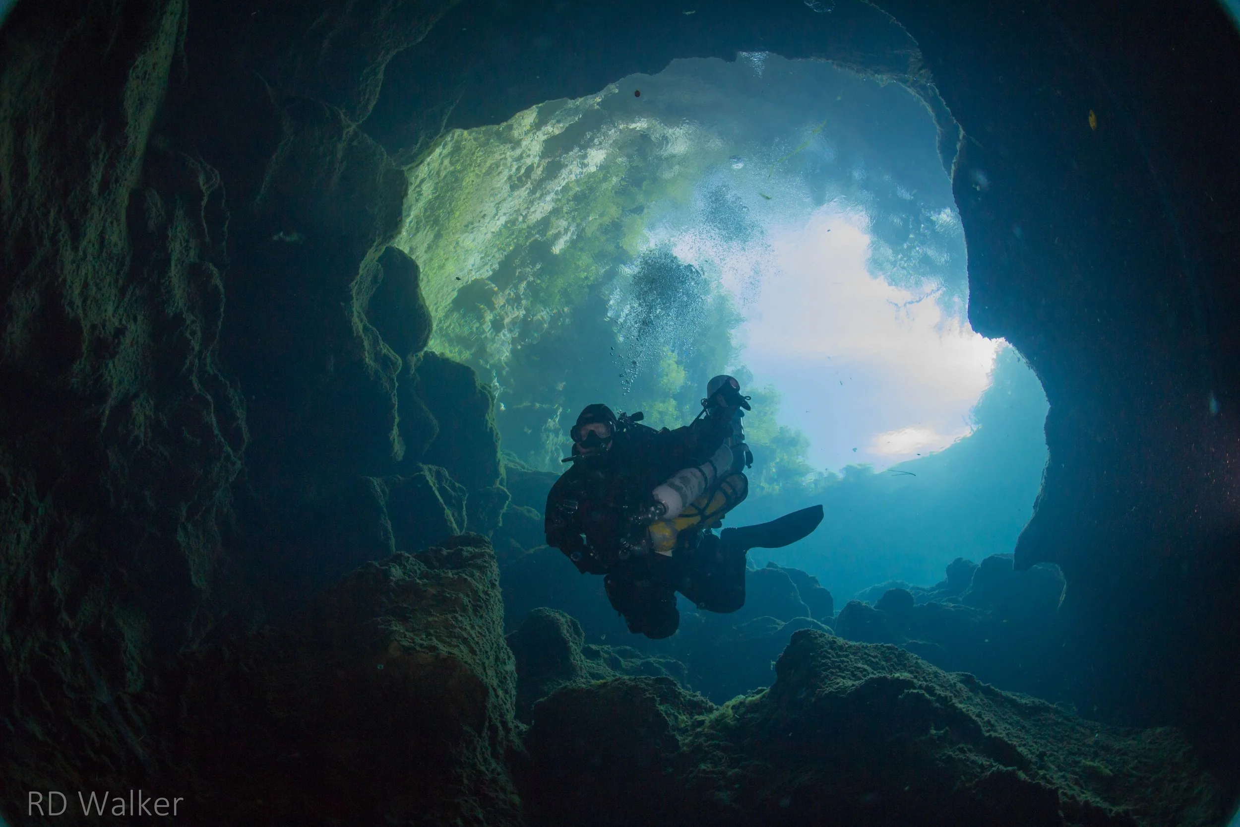 Gourney-Ras — Christine Grosart