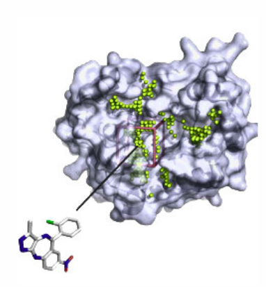 AUTOMATED DRUG DESIGN