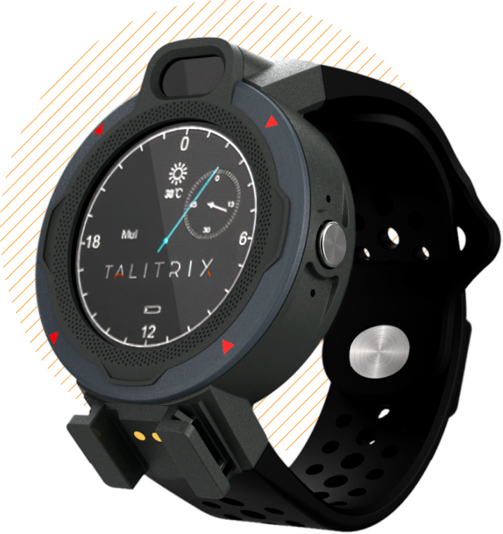 Talitrix - Electronic Monitoring