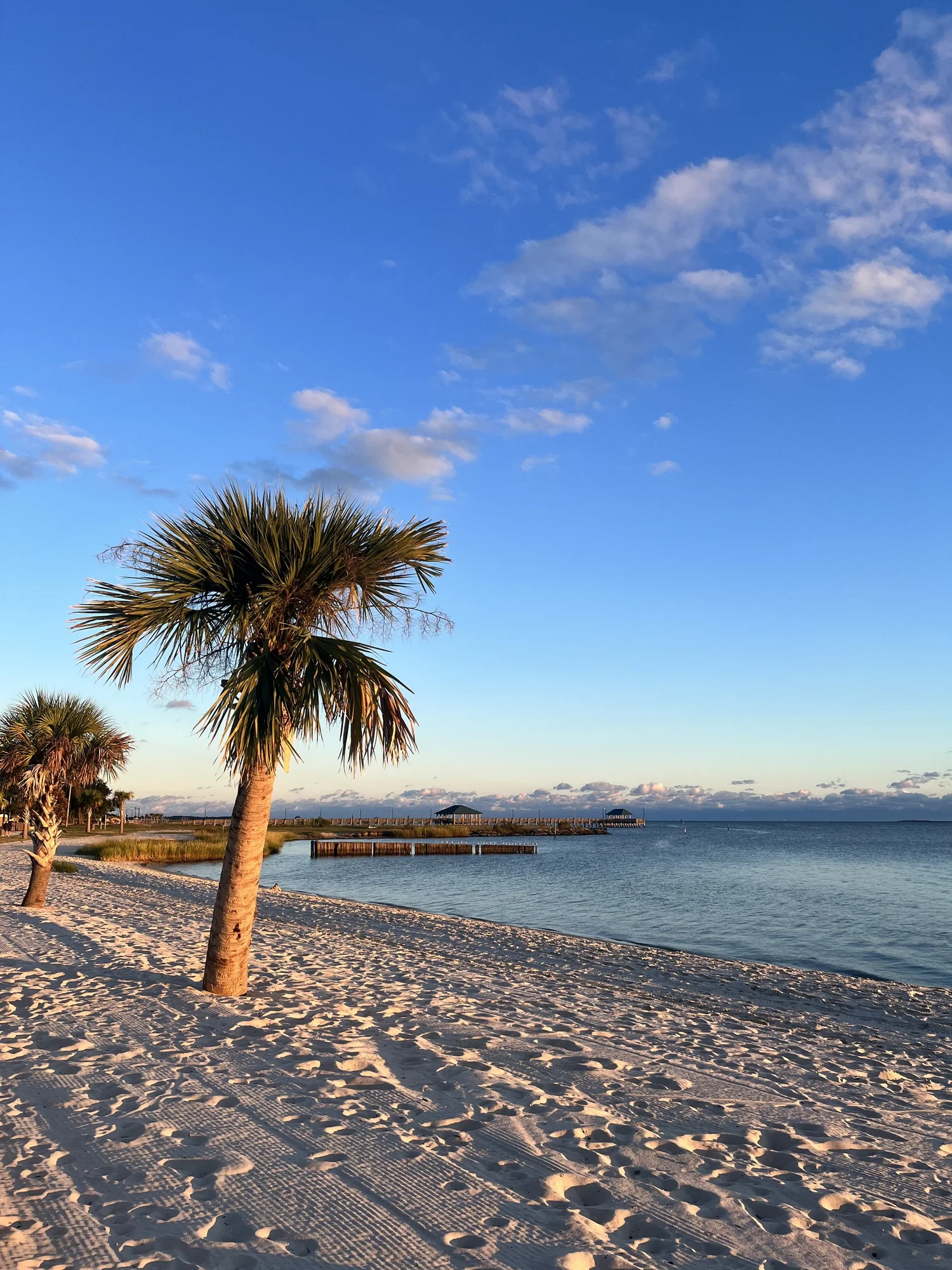 Discover Ocean Springs — Springs Hotel