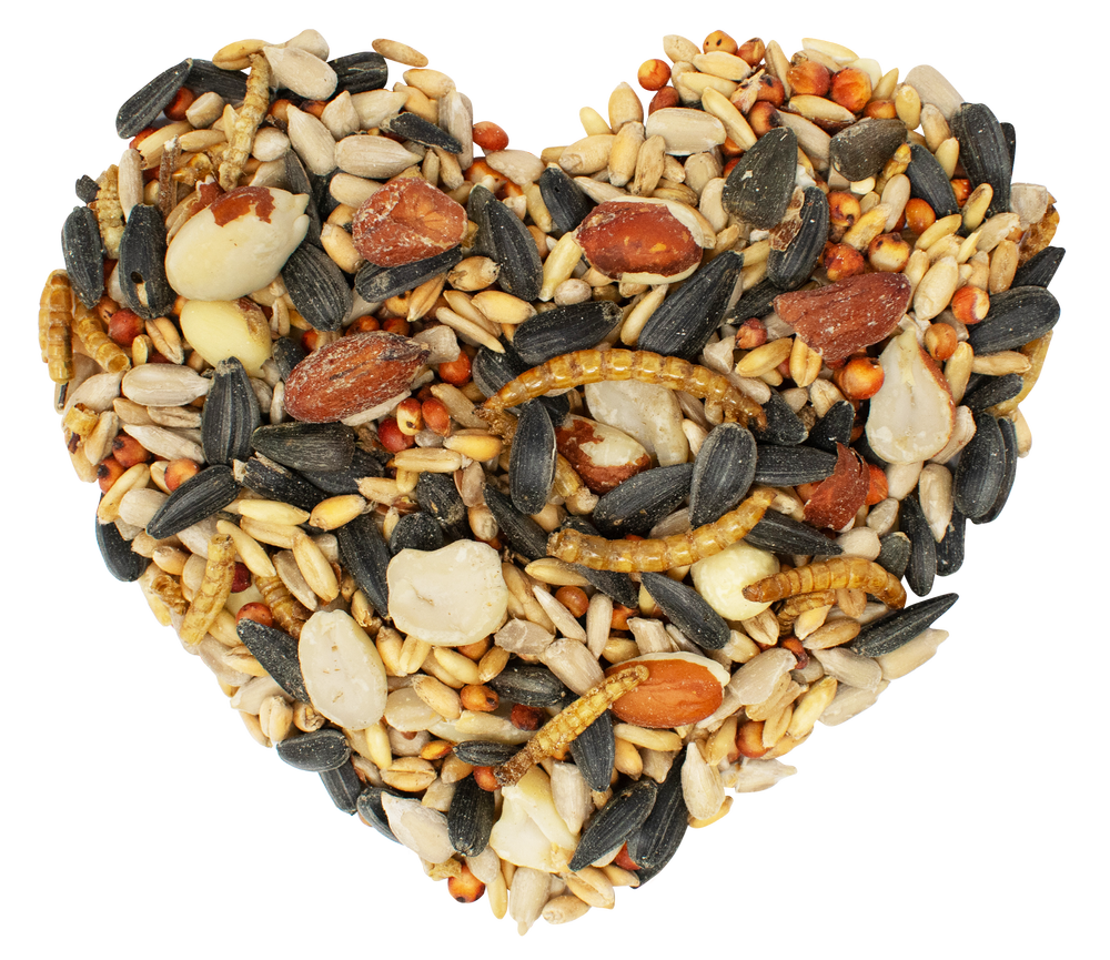 Shop Healthy Chicken Treats — Healthy Chicken Treats for Backyard Hens ...