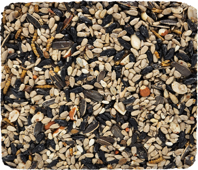Shop Healthy Chicken Treats — Healthy Chicken Treats for Backyard Hens ...