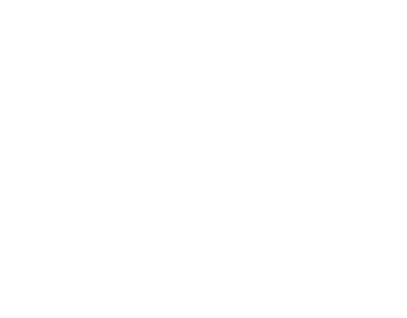 The Performance Group