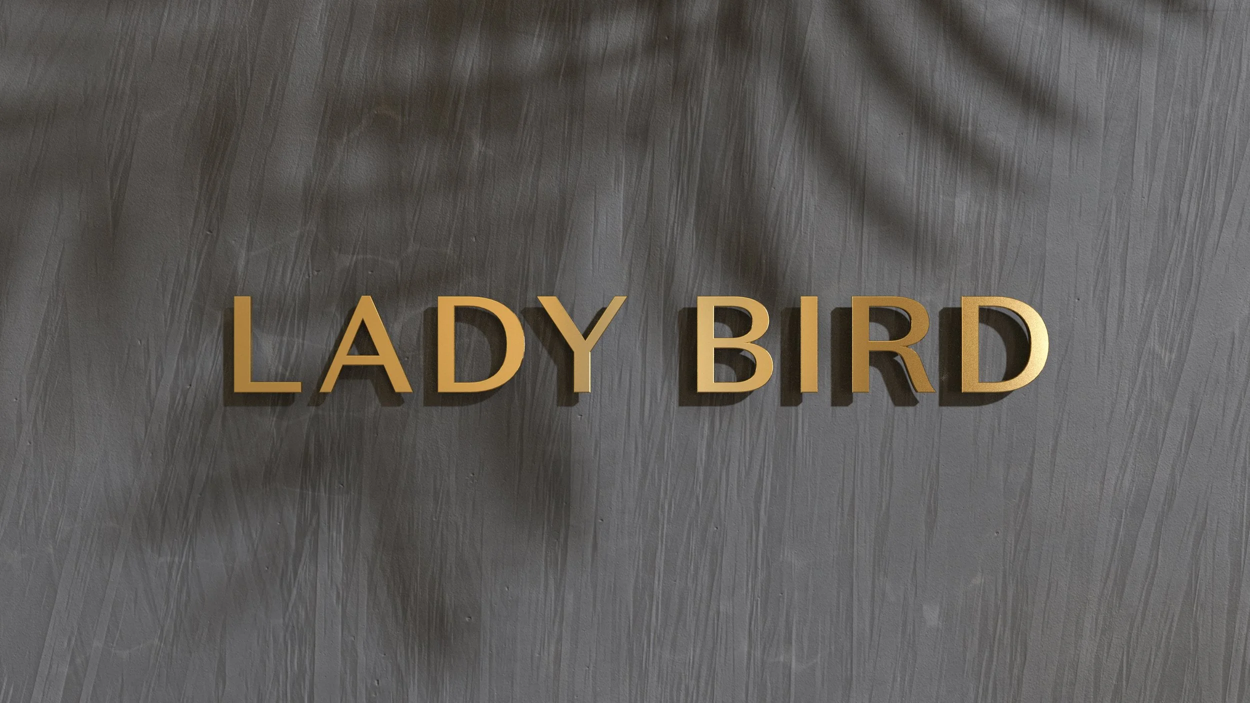 Lady Bird — Loaded For Bear