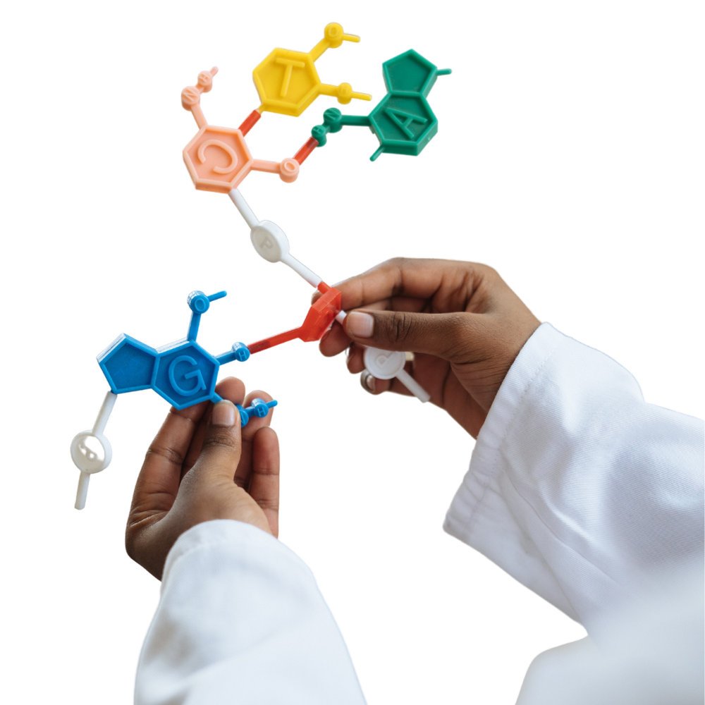 Stem Education Coalition