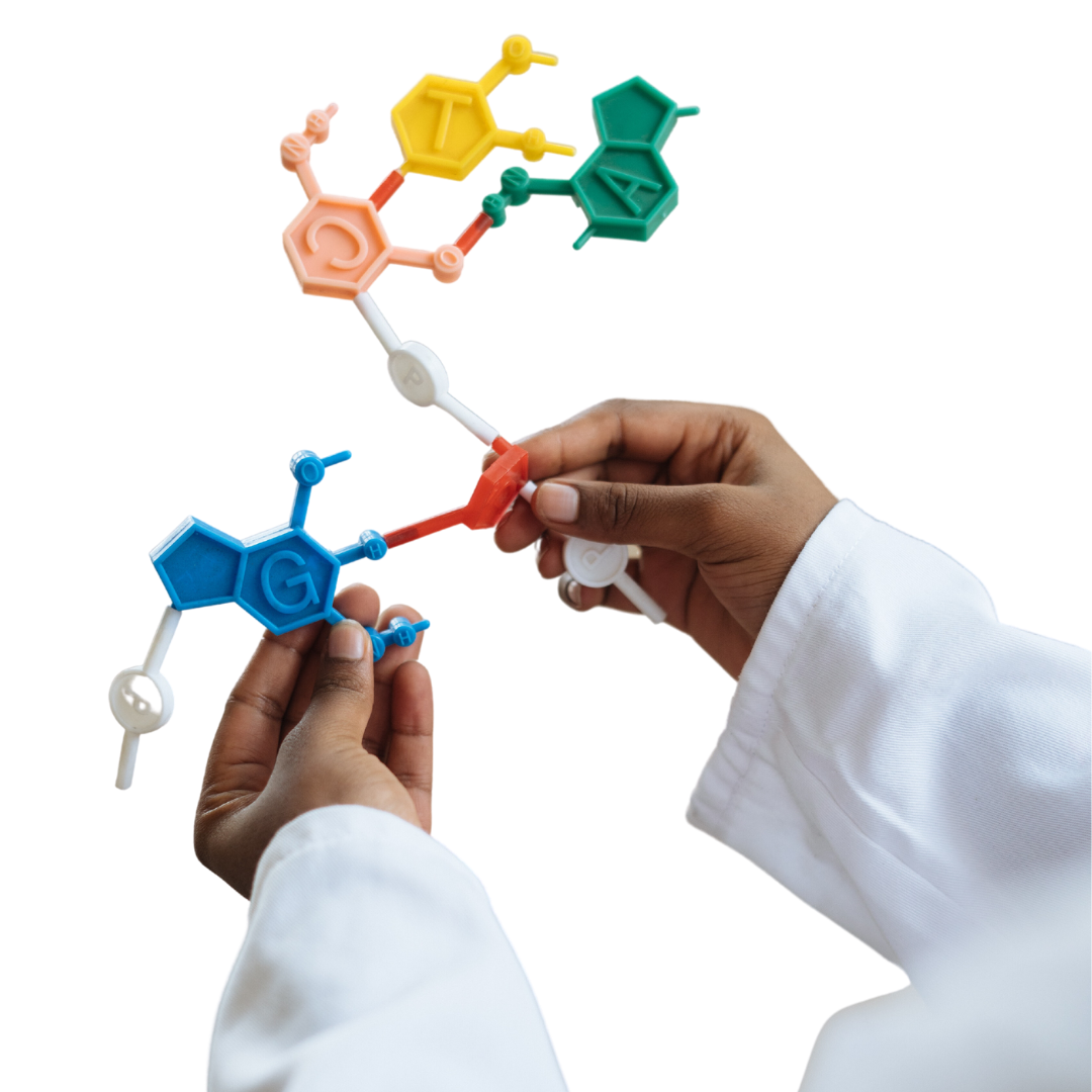 Stem Education Coalition