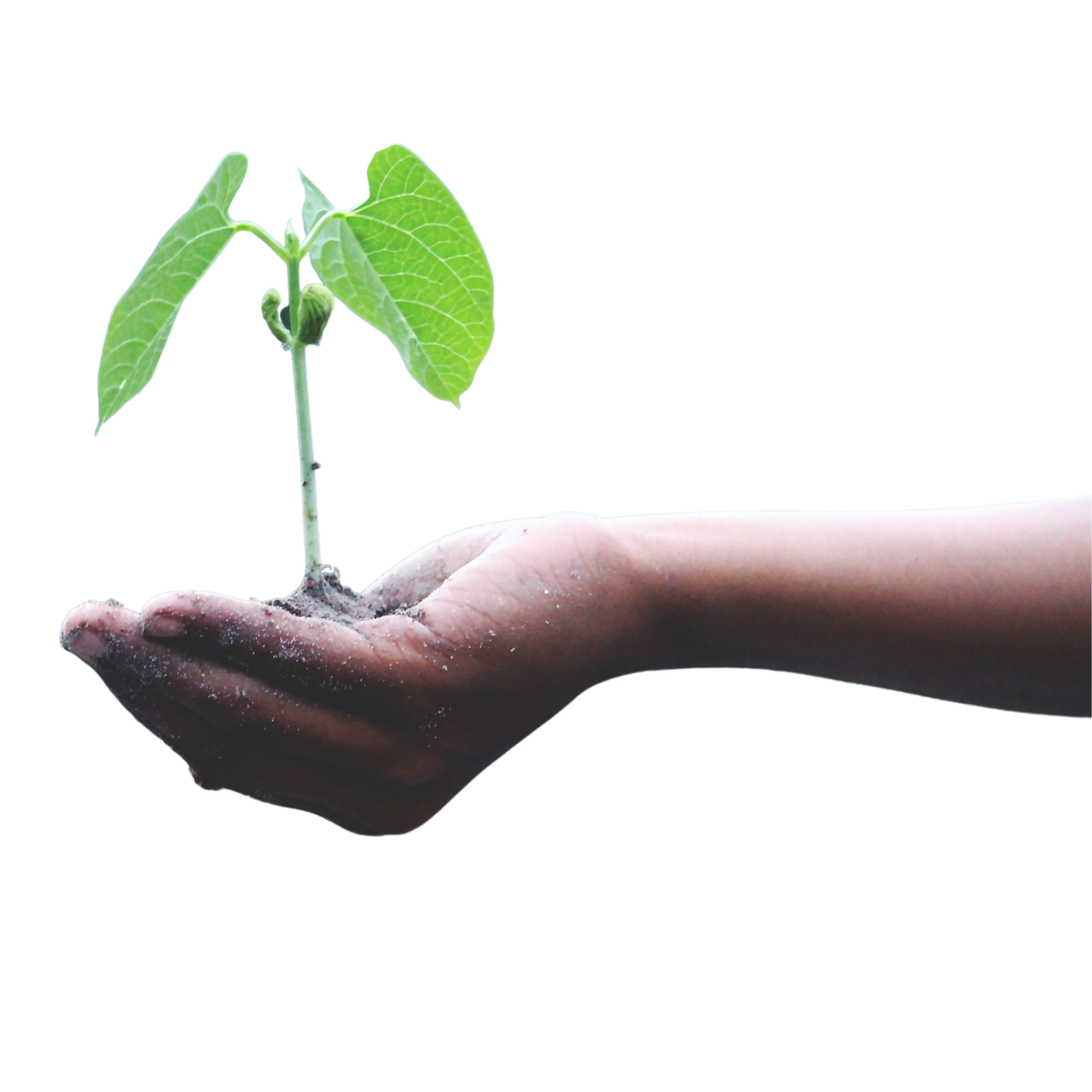 About - Original — Stem Education Coalition