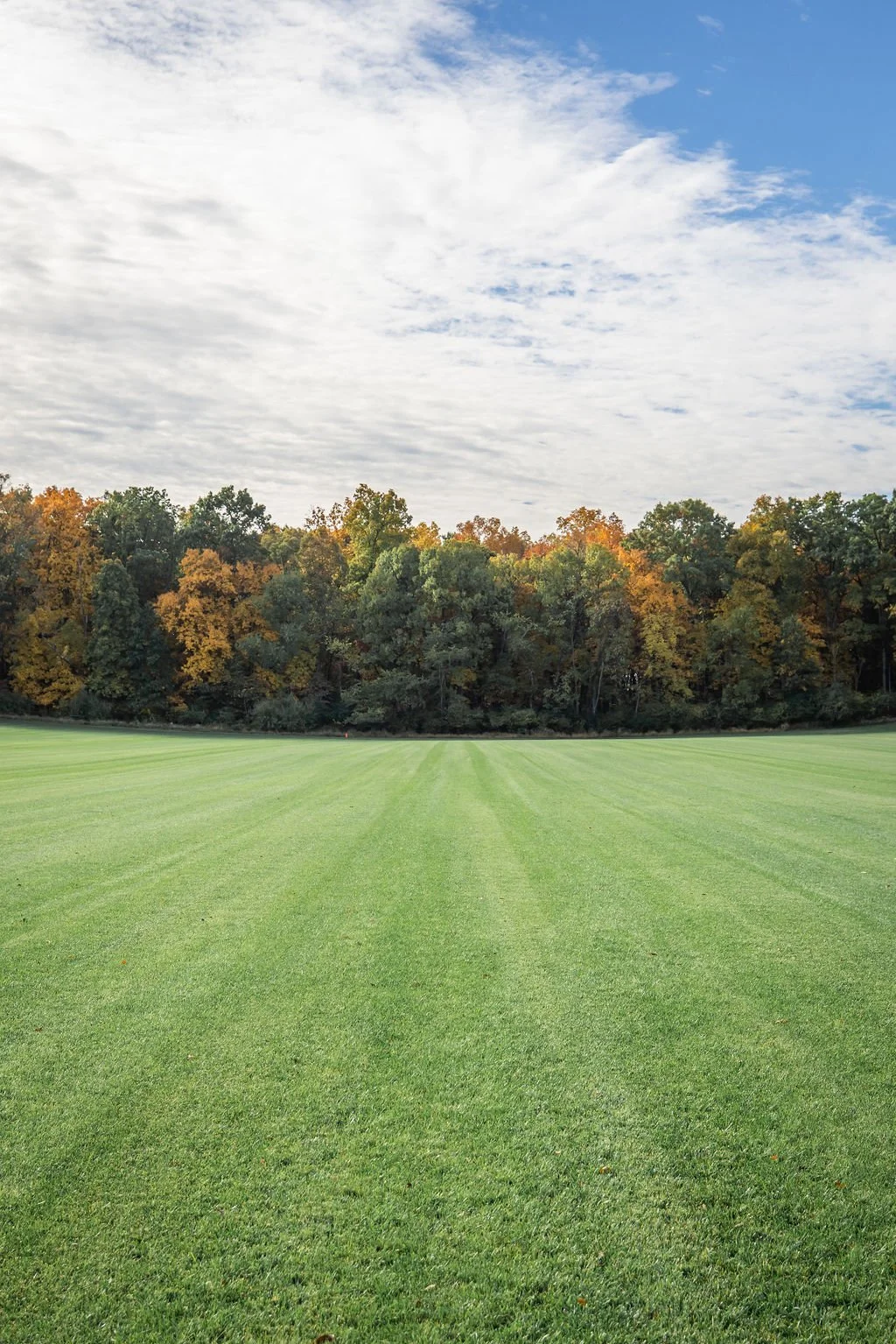 Turf & Sod Supplier for VA, MD, PA, WV | Green Horizons Turf