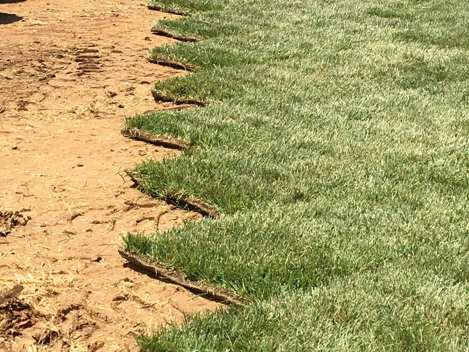 Sod Installation | Green Horizons Turf Farms