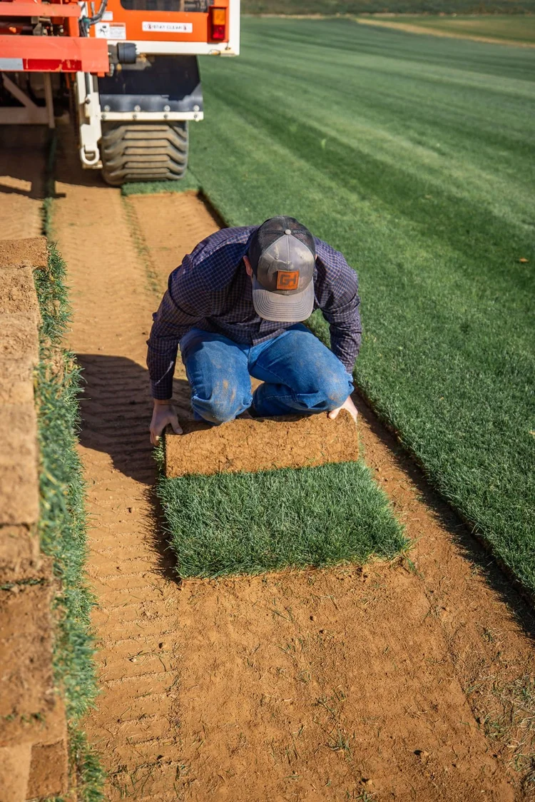Sod Delivery & DIY Sod Installation | Green Horizons Turf Farm
